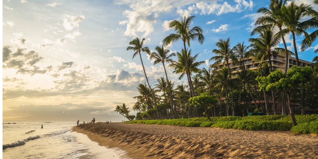 Tropical palm trees and volcanic coastline in Maui, Hawaii.
