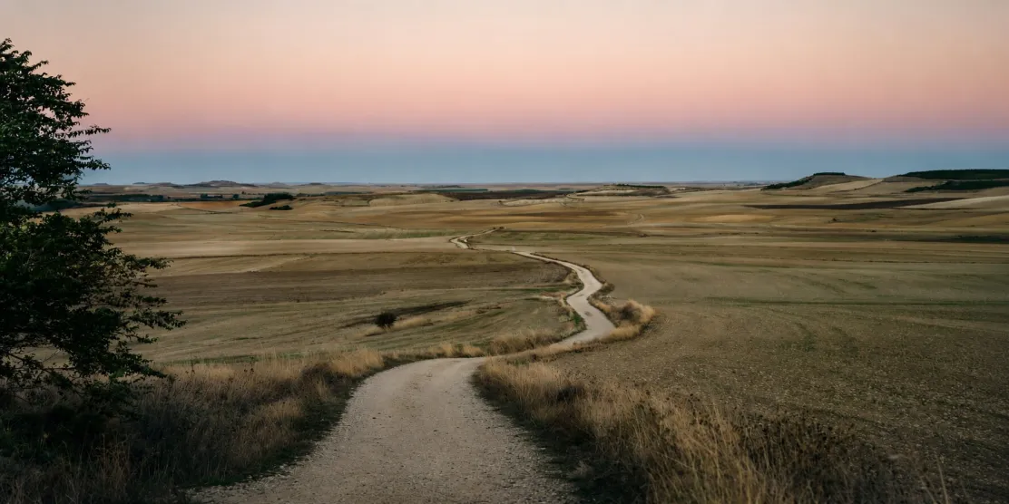 Illustration of the El Camino trail winding through the rolling countryside at sunset.