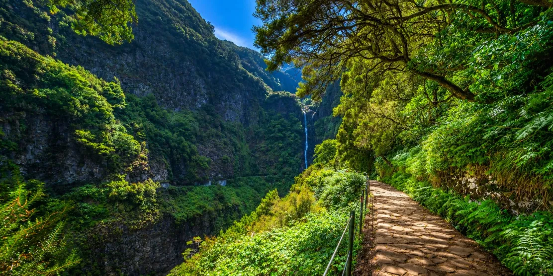 Madeira Levada walk featuring a stone path running alongside a narrow water channel through a lush green gorge with a waterfall.