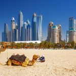 Top 5 des activités à faire à Dubaï !