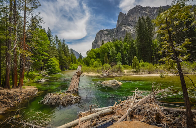 Sequoia National Park arbres montagnes lac