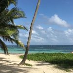 Quelles sont les activités nautiques à faire en Martinique ?