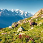 Quiz : Quel site naturel des Alpes vous correspond ?