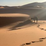 5 expériences pour découvrir le Maroc