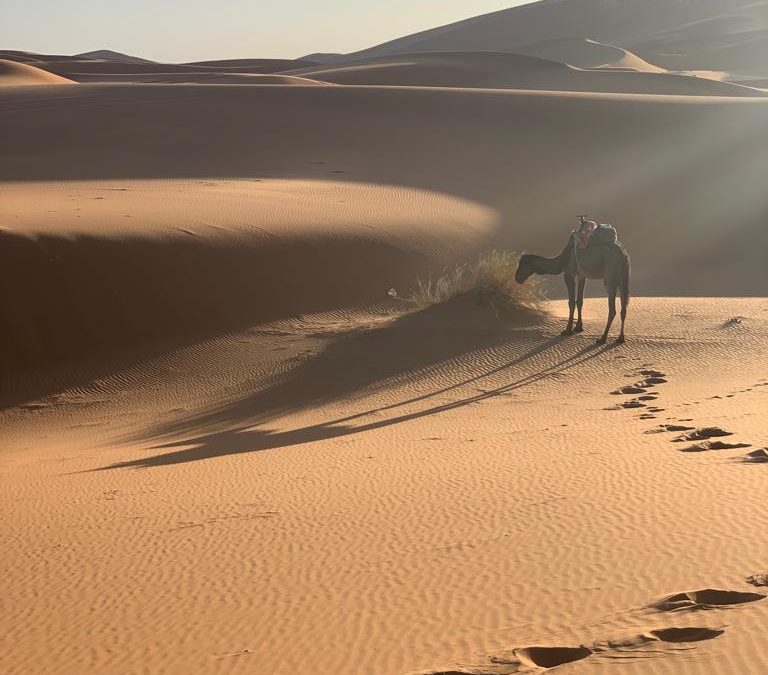 5 expériences pour découvrir le Maroc