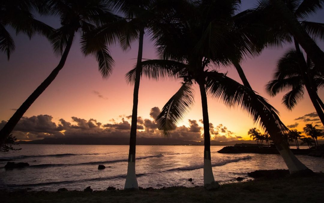 Quelle île choisir : Guadeloupe ou Martinique ?