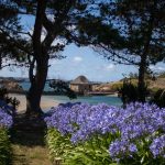 Quelle île de Bretagne choisir pour ses vacances ?