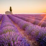Top 10 Hébergements Insolites en Provence